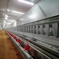 China Portal Frame Poultry House Q235B Q355B ASTM A36 Earthquake Resistant for sale