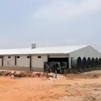 China Steel Horse Shed For Optimal Protection And Comfort Portal frame for sale