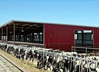 China Prefabricated Light Cow Shed Buildings Construction Q235B Q355B ASTM A36 for sale