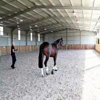 China Weather Resistant Steel Roofing Repels Rain And Snow Effectively Horse Shed for sale