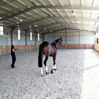 China Weather Resistant Steel Roofing Repels Rain And Snow Effectively Horse Shed for sale