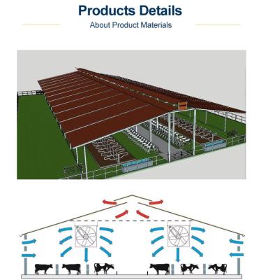 China Prefabricated Light Cow Shed Buildings Construction Q235B Q355B ASTM A36 for sale