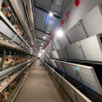 China Easy to Assemble Prefabricated Poultry House for Poultry Farming with Q355B Beams and 20lb Roof Load for sale