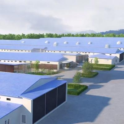 China Easy to Assemble Prefabricated Poultry House for Poultry Farming with Q355B Beams and 20lb Roof Load for sale