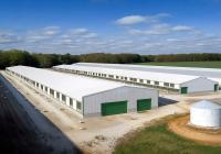 China Premium Tsin Steel Structures with Comprehensive After-Sales Service Efficient Installation and Quality Certifications for sale