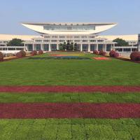 China HDPE Green Roof Trays 4 Units per Square for Planting Flowers and Vegetables for sale