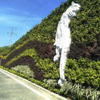 China Vertical Moss Garden Green Plant Wall Panel HDPE 50x50cm Not Coated Per Square Meter for sale