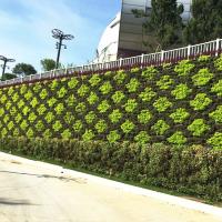 China UV Protected HDPE Green Wall System Vertical Garden Planter Tower with Back Liner for Outdoor Use for sale