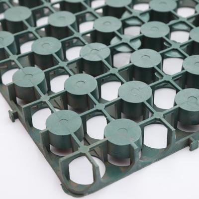 China HDPE Dimple Geotextile Membrane 500x500x30mm Roof Greening Drainage Board for sale