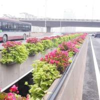 China Outdoor Planting Made Hassle-Free with Self Watering Rectangular Extra Large Pot for sale