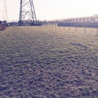 China HDPE Parking Reinforcement Grid 410x410x50mm 9pcs per Sqm for Driveway and Grass Parking for sale
