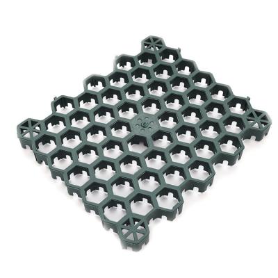 China HDPE Grass Paver 480x520mm Geocell Grid for Driveway Lawn Parking Lot Protection for sale