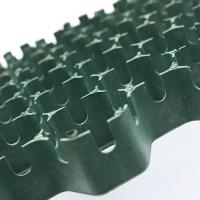 China HDPE Grass Paver 480x520mm Ground Stabilization Grid for Parking Lots and Lawns for sale