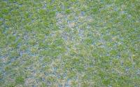 China Grass Paver Grid Horse Paddock 50mm Thick HDPE Traditional Design Spare Parts for sale