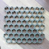China Modern Design Plastic Permeable Grid Stabilize Your Driveway for Lawn Protection for sale