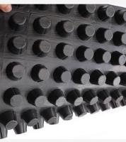 China HDPE Cavity Drainage Membrane 1.2mm 1.5mm for Basement Roof Waterproofing for sale