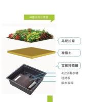 China HDPE Green Roof Tray System 4 Units per Square for Roof Greening Decorative Garden Planter for sale