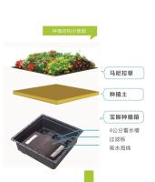 China Square Shape Sedum Green Roof Tray 4 Units Plastic Large Garden Planter for Green Plants for sale