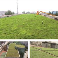 China PP Material Square Garden Flower Pot 4 Units per Tray for Modular Green Roof Planting for sale