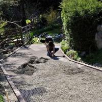 China Green HDPE Permeable Paving Grids 410x410x70mm for Driveway Ground Stabilization for sale