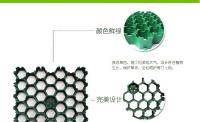 China HDPE Horse Grass Paver 410x410mm 70mm for Paddock Grid Stable Flooring for sale