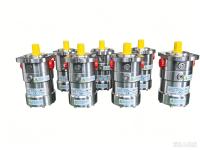 China 10-Column Seawater Desalination – High-Pressure Pump for sale