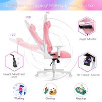 China Customizable Color ALINUNU Secret LabErgonomic Racing Gaming Chair 29