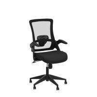 China Flip-up Armrest Mesh Executive Lumbar Support Swivel Chair for Home Office by Alinunu for sale