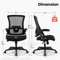 China Flip-up Armrest Mesh Executive Lumbar Support Swivel Chair for Home Office by Alinunu for sale