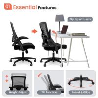 China Flip-up Armrest Mesh Executive Lumbar Support Swivel Chair for Home Office by Alinunu for sale