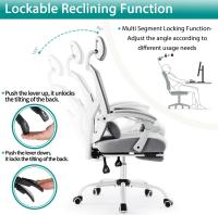 China ALINUNU Back Mesh Office Chair with Footrest 34.39 Pounds and Reclining Function for sale