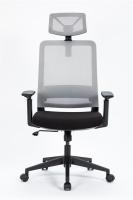 China ALINUNU Economic Modern Office Chair with Headrest and 8939 Molded Foam Excellent for sale