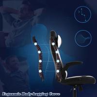 China ALINUNU PC Gaming Chair Ergonomic Design with Flip-up Armrests Lumbar Support and Headrest for sale