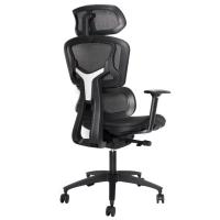 China Commercial Furniture Ergonomic Office Chair with Revolving and 3D Adjustable Armrests for sale