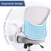 China Direct Nylon Mesh Computer Chair with Soft Armrests and Upholstered Lumbar Support for sale
