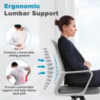 China Ergonomic Home Office Chair Customized Color Swivel Chair with Lumbar Support and Armrests for sale