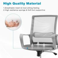 China Ergonomic Home Office Chair Customized Color Swivel Chair with Lumbar Support and Armrests for sale