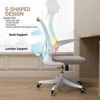 China Home Office Desk and Chair Mesh Back Office Chair with Lumbar Support Adjustable Height for sale