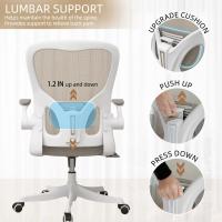 China Home Office Desk and Chair Mesh Back Office Chair with Lumbar Support Adjustable Height for sale