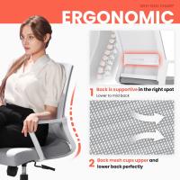 China Executive Office Chair Mesh Chair with Lumbar Support and Adjustable Height Armrest for sale