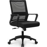 China Executive Office Chair Mesh Chair with Lumbar Support and Adjustable Height Armrest for sale