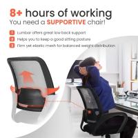 China Foam Seat Mesh Computer Chair with Lumbar Support Adjustable Ergonomic Desk Chair for sale