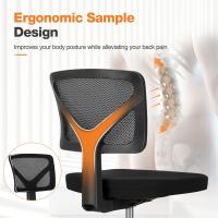 China Low-Back Ergonomic Home Office Desk and Chair with Lumbar Pillow in Customized Color for sale