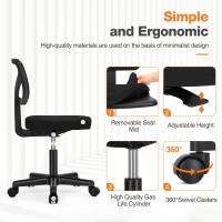 China Low-Back Ergonomic Home Office Desk and Chair with Lumbar Pillow in Customized Color for sale