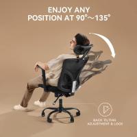 China Modern Design High Back Mesh Office Chair with Adjustable Armrest and Lumbar Support for sale