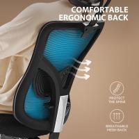 China Modern Design High Back Mesh Office Chair with Adjustable Armrest and Lumbar Support for sale