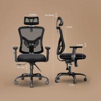 China Modern Design High Back Mesh Office Chair with Adjustable Armrest and Lumbar Support for sale