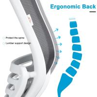 China 360 Swivel Ergonomic Mesh Computer Chair with Height Adjust and Waist Support Function for sale