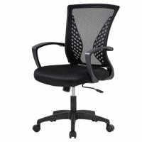 China Direct Gas Lift Office Chair with Waist Support Function and Maximum Weight of 300 Pounds for sale