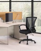 China Direct Gas Lift Office Chair with Waist Support Function and Maximum Weight of 300 Pounds for sale
